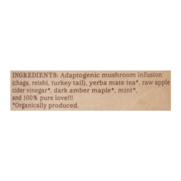 GT's Alive Yerba Mate Ancient Mushroom Elixir 16 fl oz | Hy-Vee Aisles ...