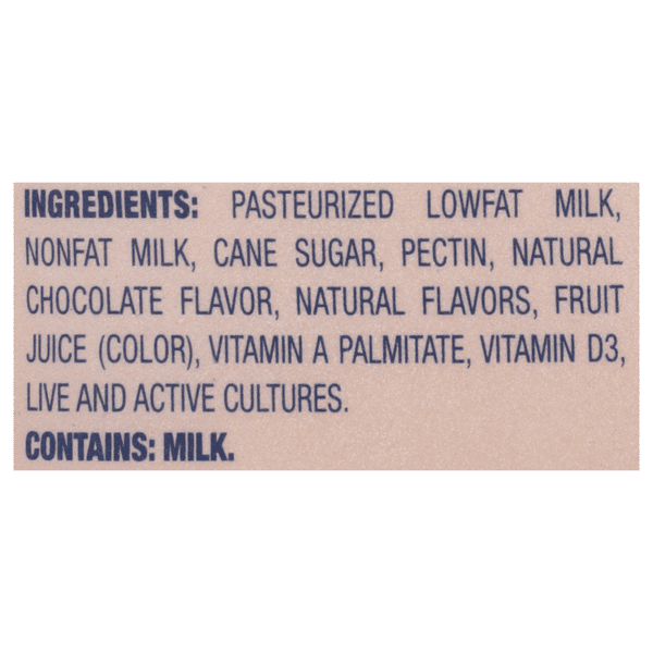 Lifeway Kefir Cultured Milk Smoothie, Lowfat, Chocolate | Hy-Vee Aisles ...