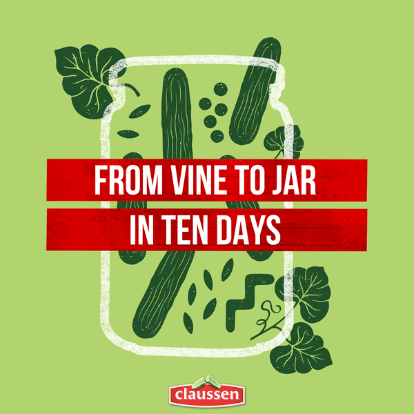 Claussen Kosher Dill Mini Pickles | Hy-Vee Aisles Online Grocery Shopping