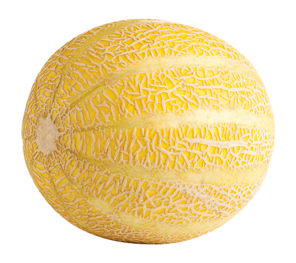 Hy-Vee Aisles Online Grocery Shopping