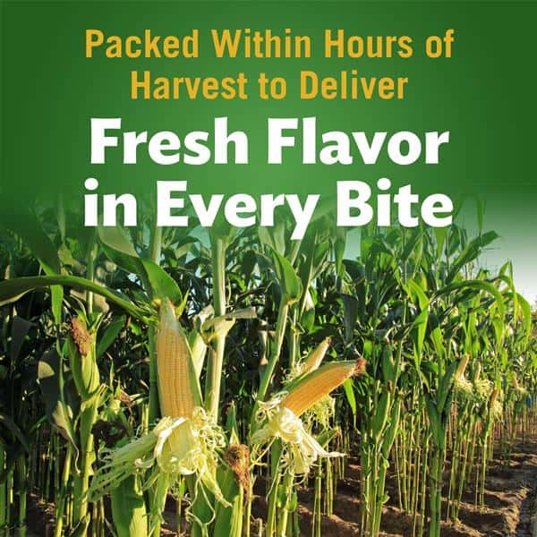 Hy-Vee Aisles Online Grocery Shopping